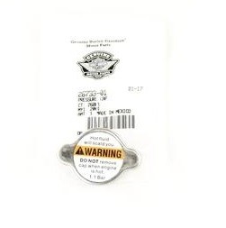 Tampa Radiador Agua 1.4 Bar Harley Touring 14-20 26800021 - Tanque Óleo ...