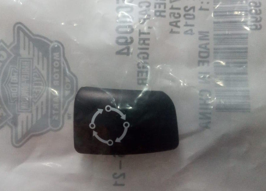 Capa Botao Trigger Flasher Pisca Farol Harley Police 2014-2020 71500094 ...